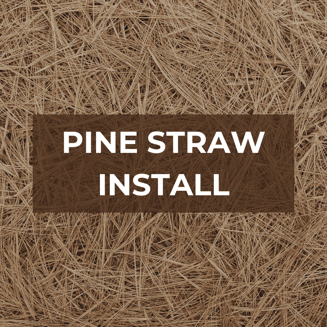 Spring Pine Straw Install – Go 2 Landscapes – Go 2 Landscapes
